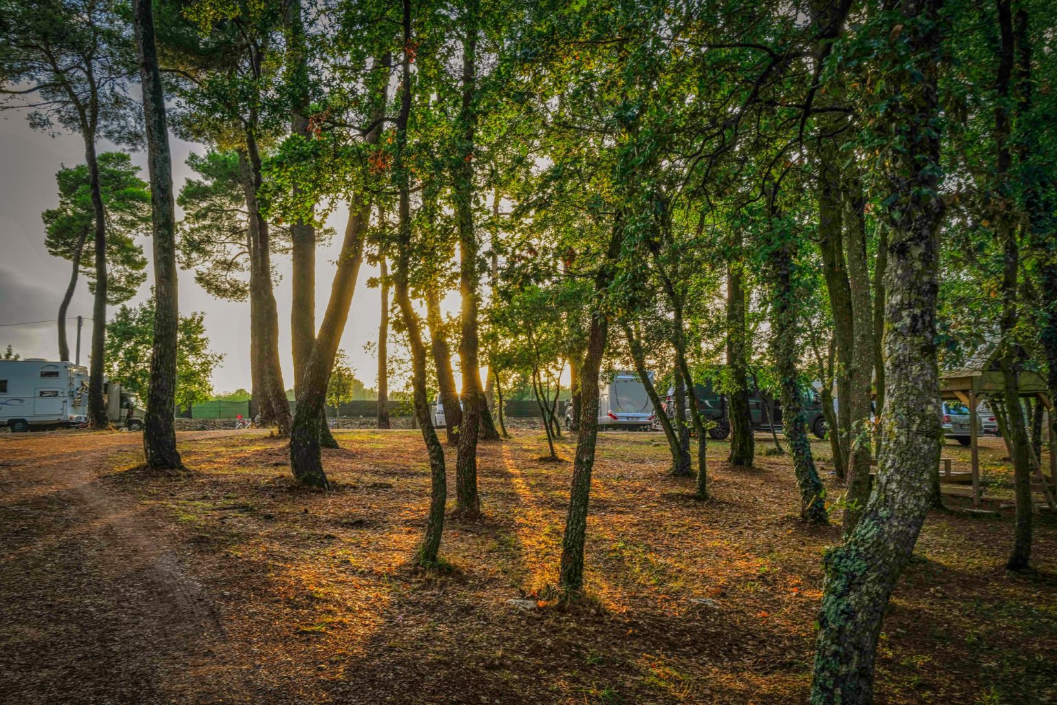 Camping Bosco Selva +Photos — Camperguru