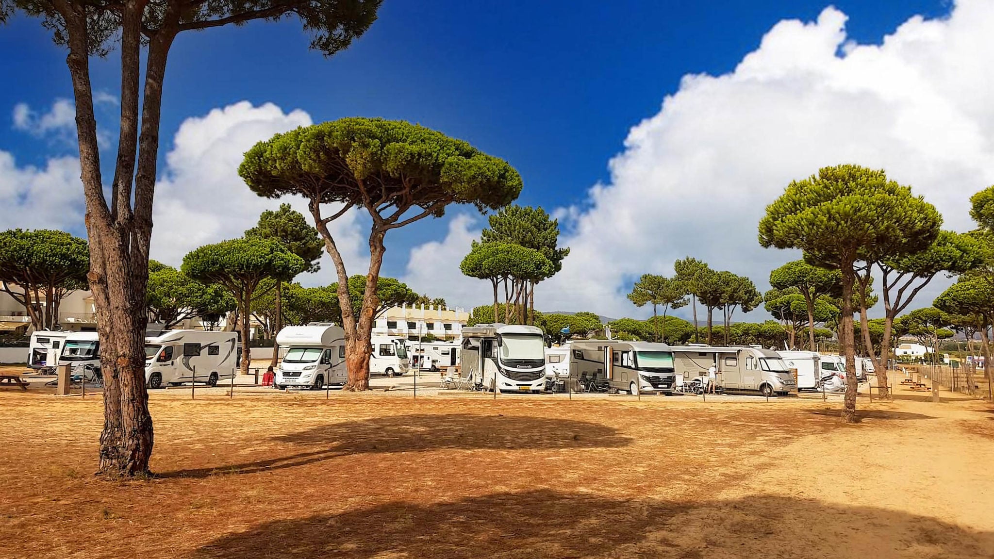 Algarve Motorhome Park Falésia +Photos — Camperguru