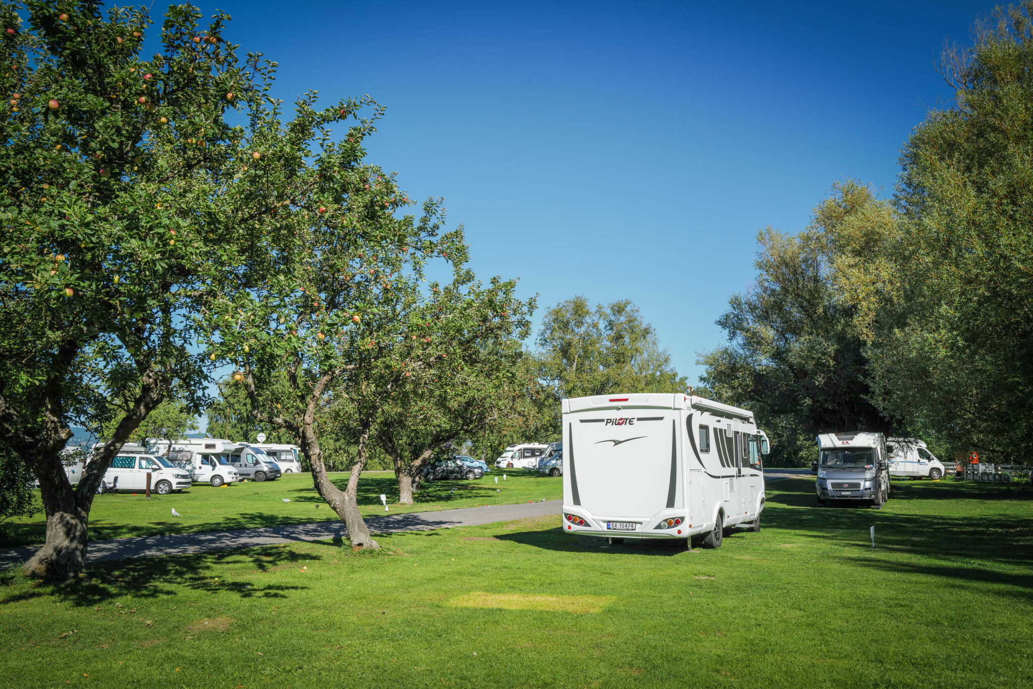 Top Camp Ekeberg +Photos — Camperguru