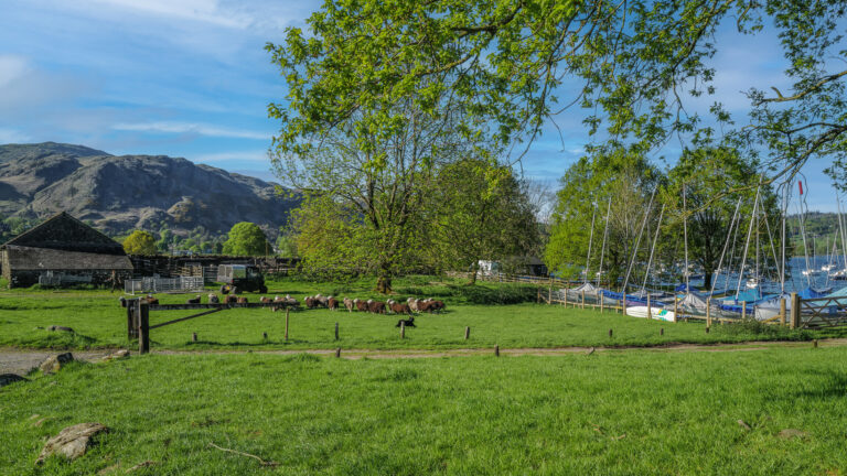 Coniston Hall Campsite +Photos — Camperguru