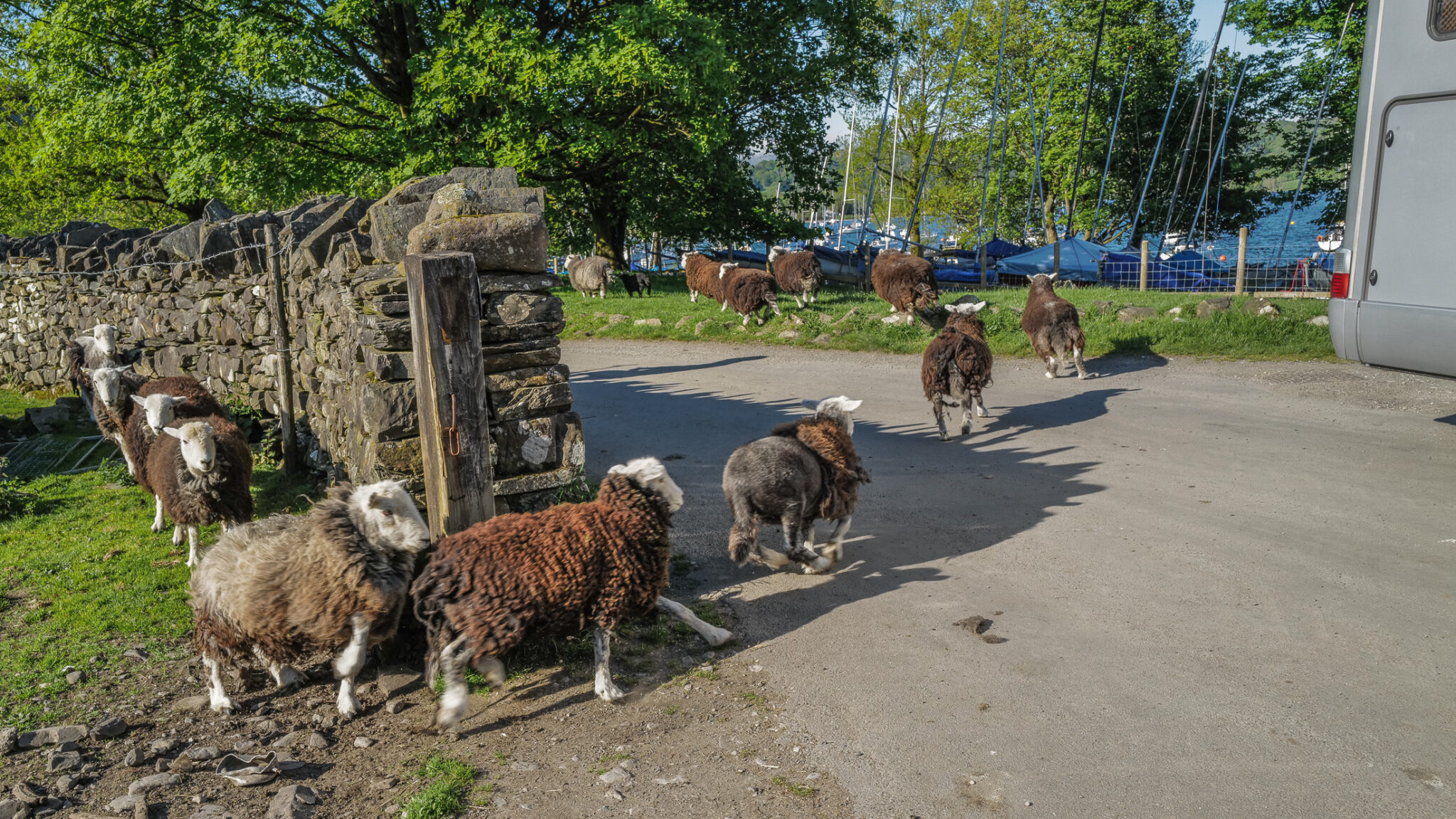 Coniston Hall Campsite +Photos — Camperguru