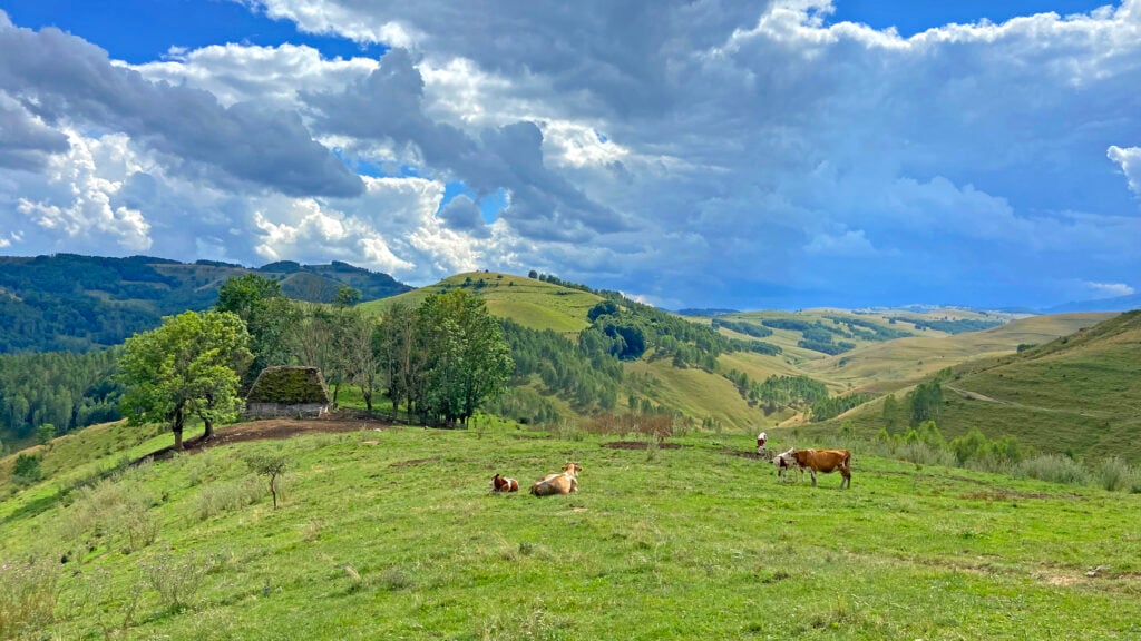 Rasarit Retreat +Photos — Camperguru